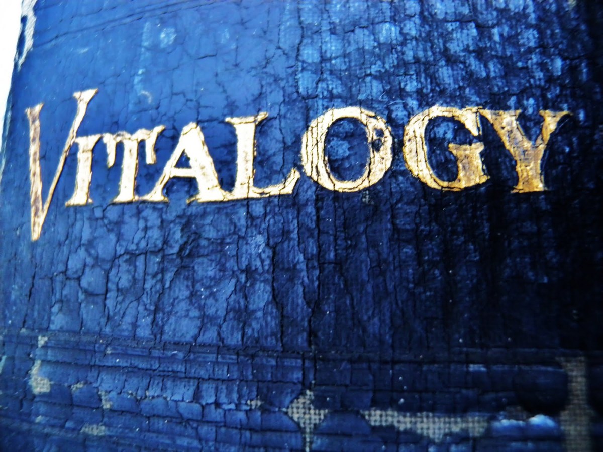 Vitalogy: An amazing but very amusing medical Encyclopedia – Rearview ...